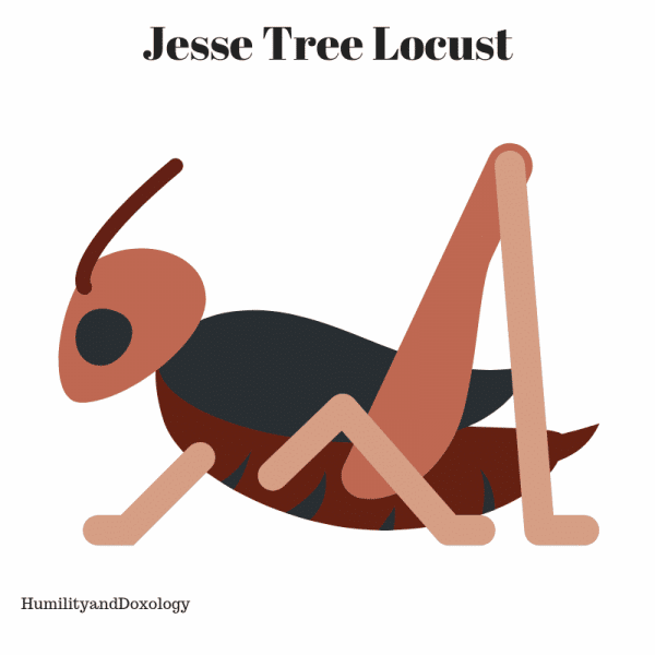 Simple Advent Ideas for Families | Humility and Doxology