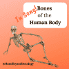 Bones of the Human Body Song | Humility and Doxology