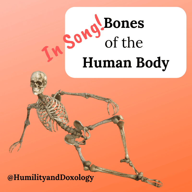 Bones of the Human Body Song | Humility and Doxology