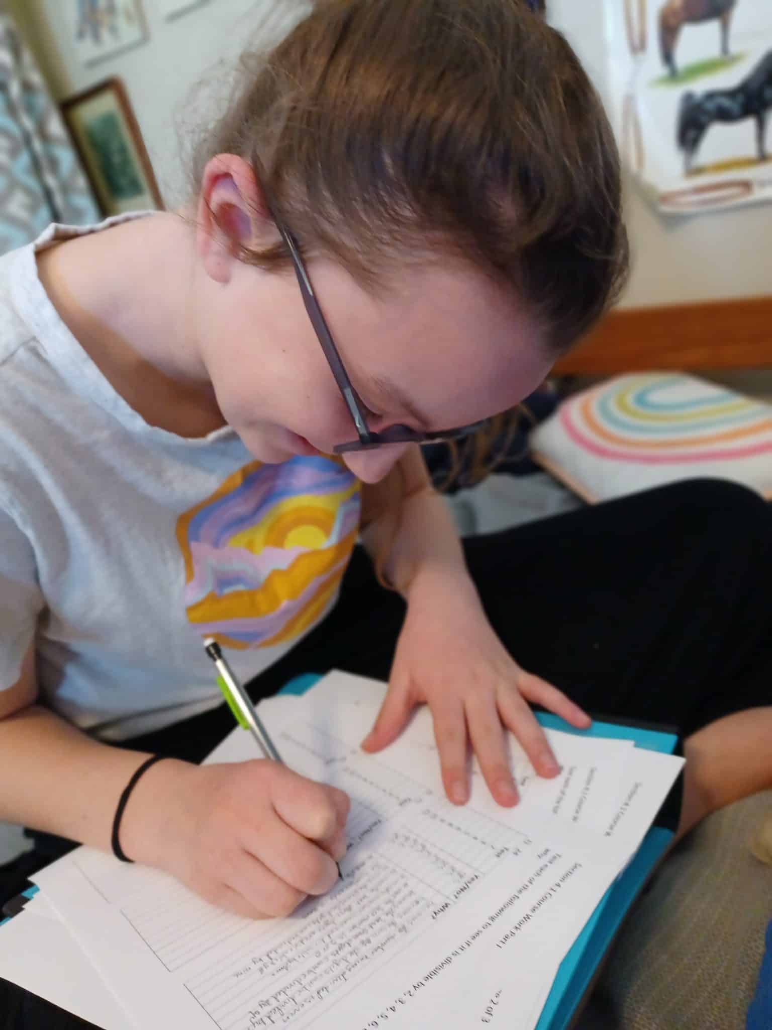 Happy at Last with Homeschool Algebra 1: Mr. D Math