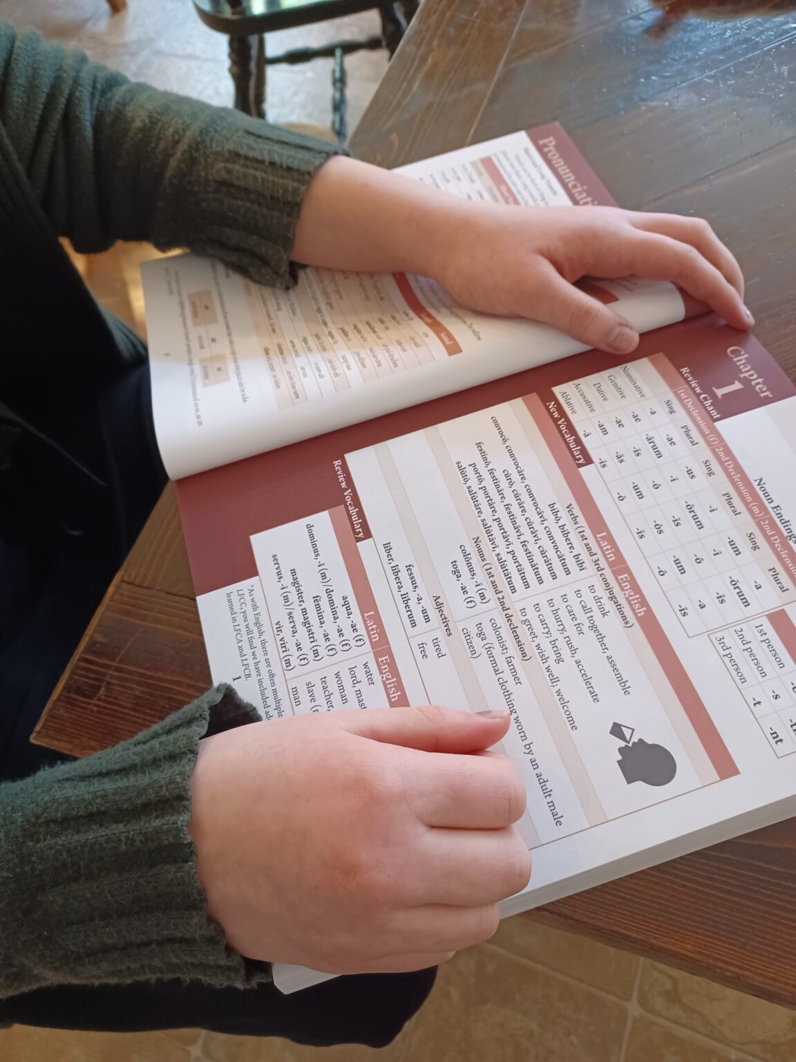 Latin for Children: our favorite homeschool Latin curriculum from ...