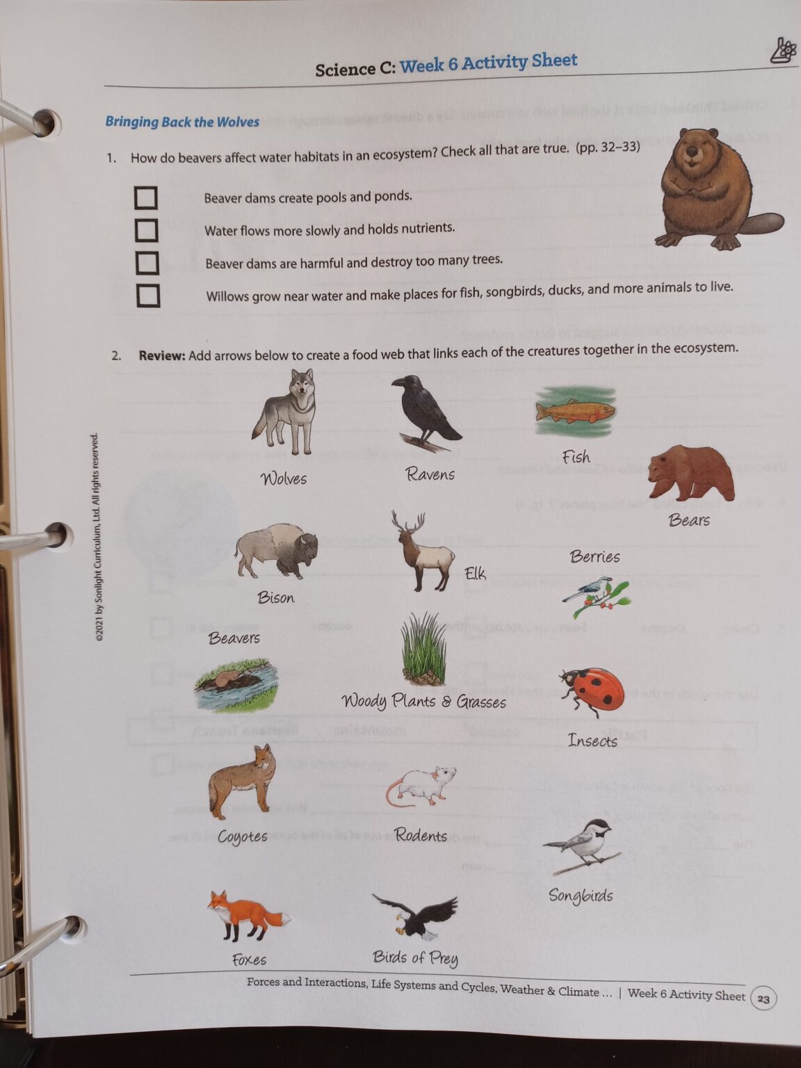 Sonlight Science C: Forces and Interactions, Life Systems and Cycles ...