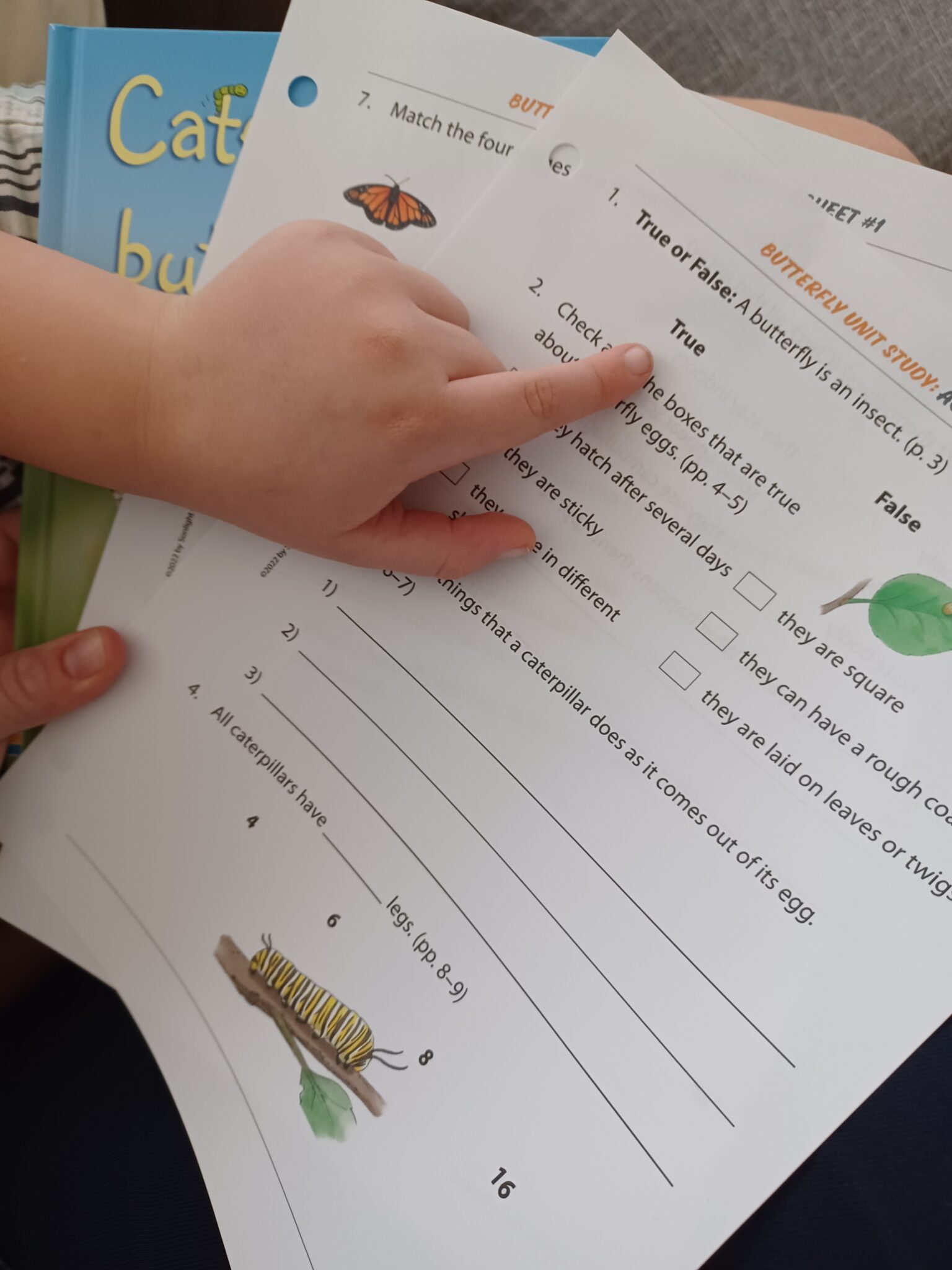 Homeschool Butterfly Unit Study: an HONEST reaction | Humility and Doxology