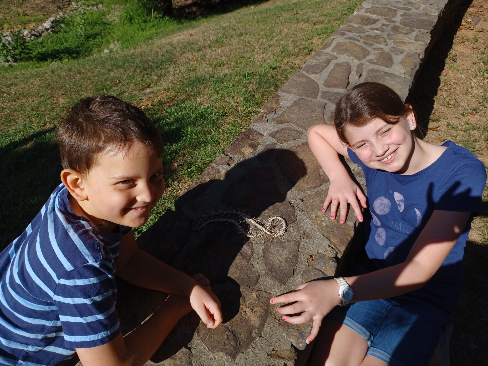 The Art of Observation: Enhancing Homeschooling with Nature Study